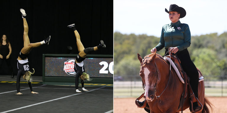 BaylorProud » Baylor acrobatics & tumbling, equestrian each ranked No ...